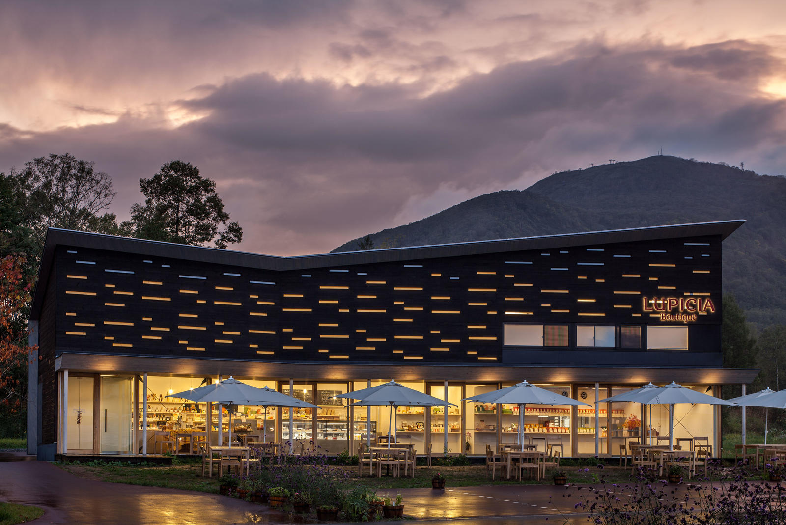 La Villa LUPICIA | NASCA